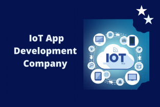 Top Things to Consider When Choosing an IoT Development Services Provi | GuestCanPost