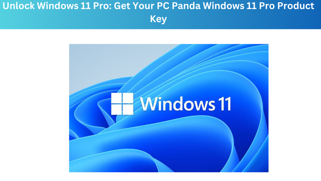 Unlock Windows 11 Pro: Get Your PC Panda Windows 11 Pro Product Key ...