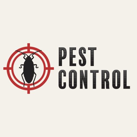 Highest Reviewed Pest Control Companies in Toronto | GuestCanPost